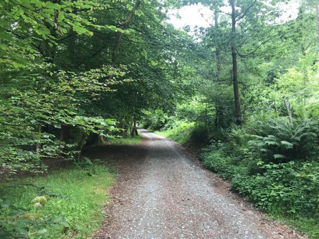 Lakes Single Mum: A walk from Wray Castle along Windermere