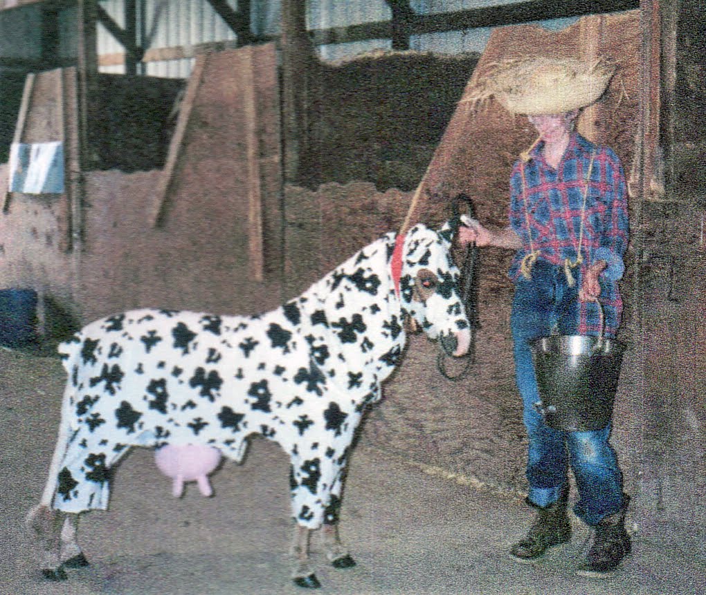 Horse Fancy Dress Ideas: Cow