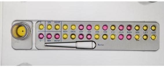 Clinical Analysis Laboratory: MICROBIOLOGY - fast kits