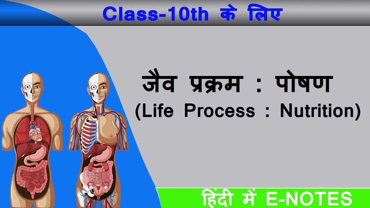 Ex-1 जैव प्रक्रम : पोषण