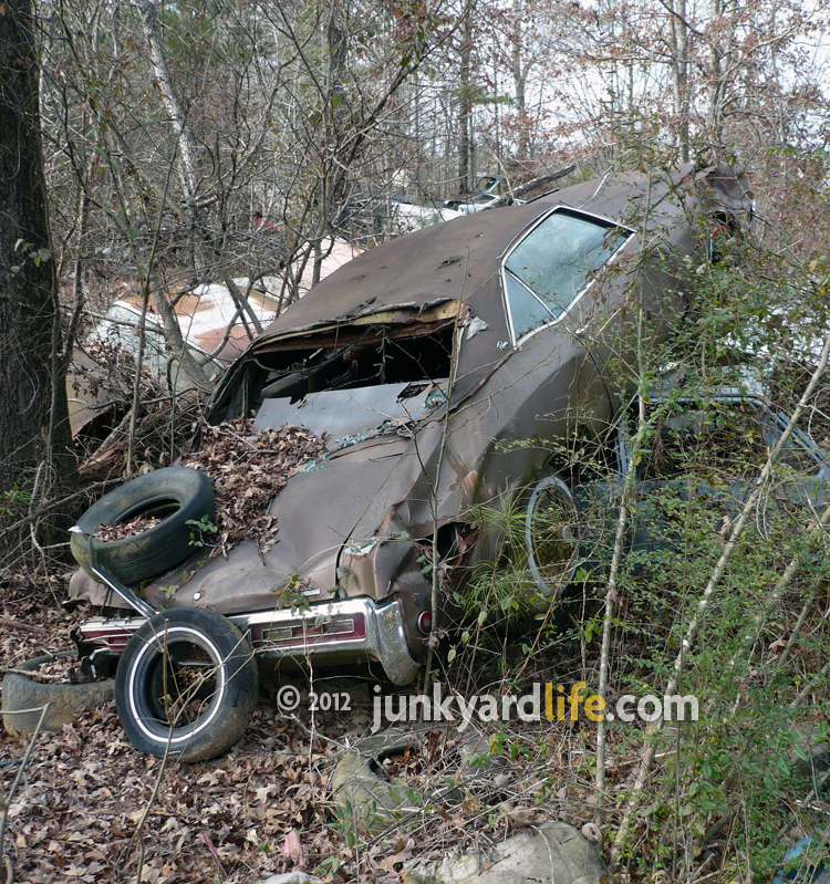 Junkyard Life: Classic Cars, Muscle Cars, Barn finds, Hot rods and part ...