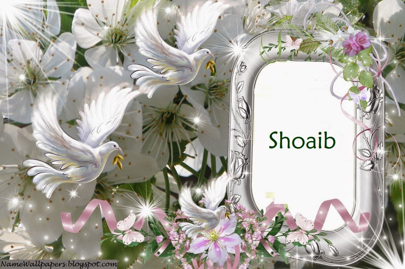 Shoaib Name Wallpapers Shoaib ~ Name Wallpaper Urdu Name Meaning Name ...