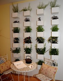 Espaço Zen: Transforme sua parede em um belo jardim