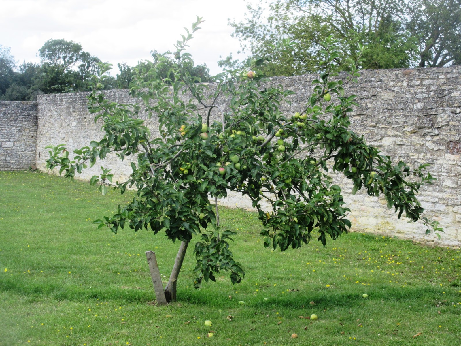 Liberal England: Chichele College, Higham Ferrers