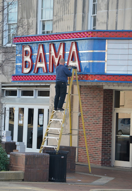 picture the south: Bama