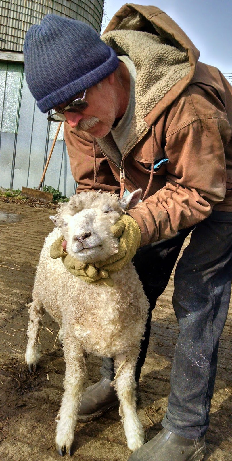 Knee Deep in Sheep: Go Hug Some Sheep