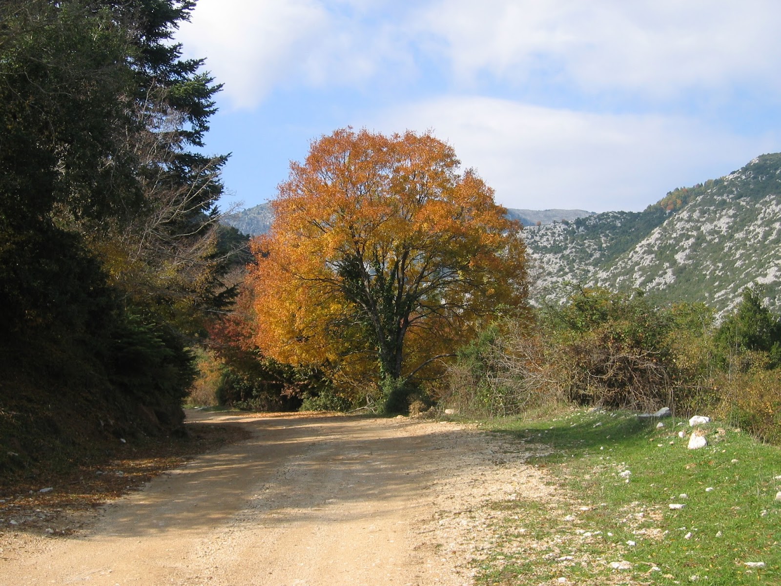 ΜΑΝΤΕΙΟ ΔΩΔΩΝΗΣ ΙΩΑΝΝΙΝΩΝ: Δομολεσσά Σελλών Ιωαννίνων