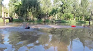 Diego Gallotti - Natación: Nadando en el río Pacífico (Delta del Paraná)