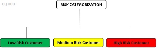Risk Categorization of Customers