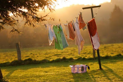 Letters from a Hill Farm: New clothesline