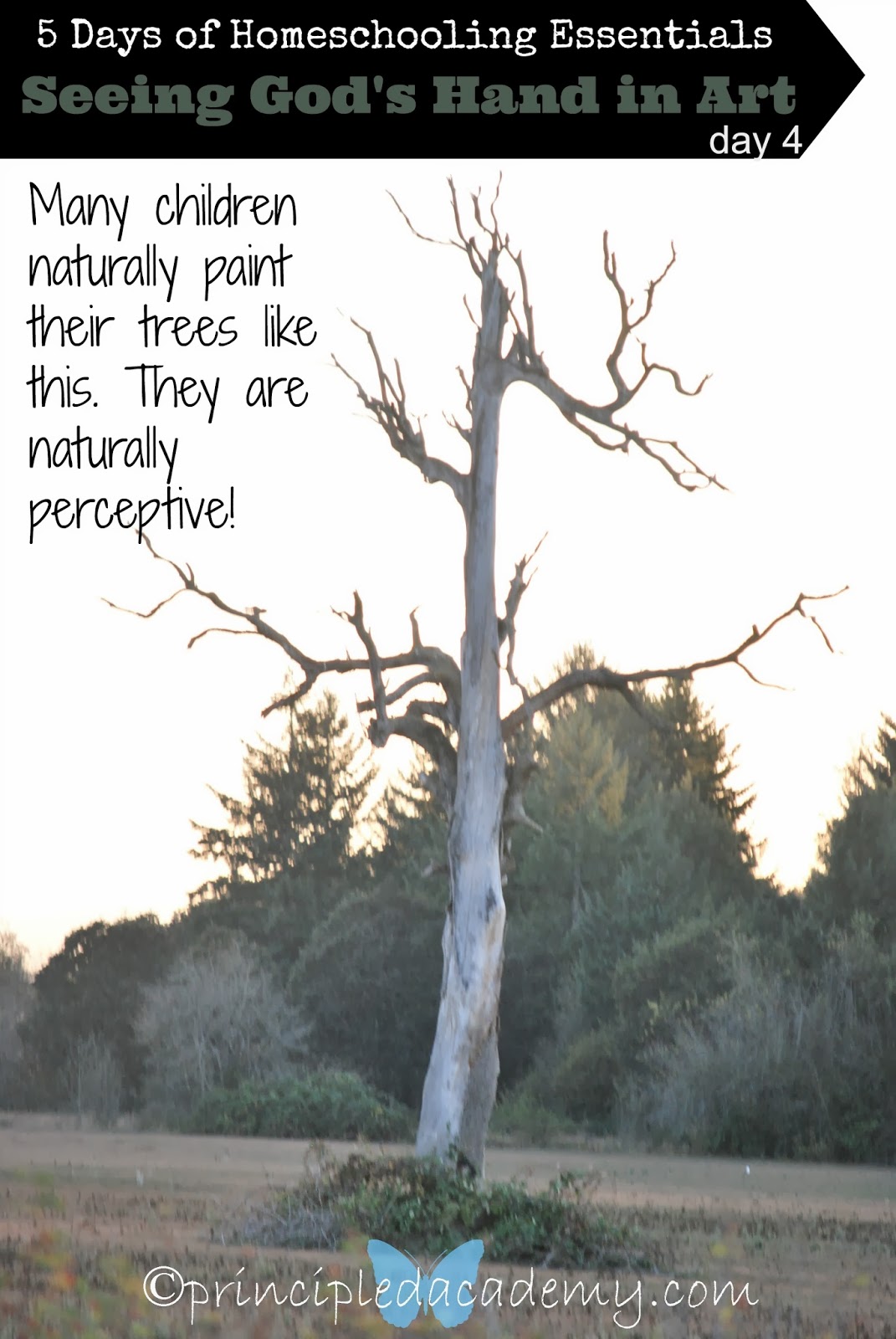 Principle Approach, Bible Principles: 5 Days of Homeschooling ...