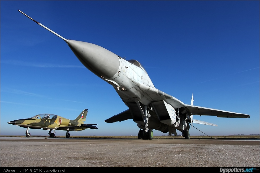 Groom Lake Red Eagles: MiG-29s in the US