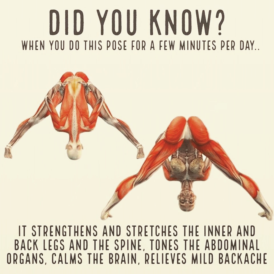 Did You Know? When you do this pose 5 minutes per day
