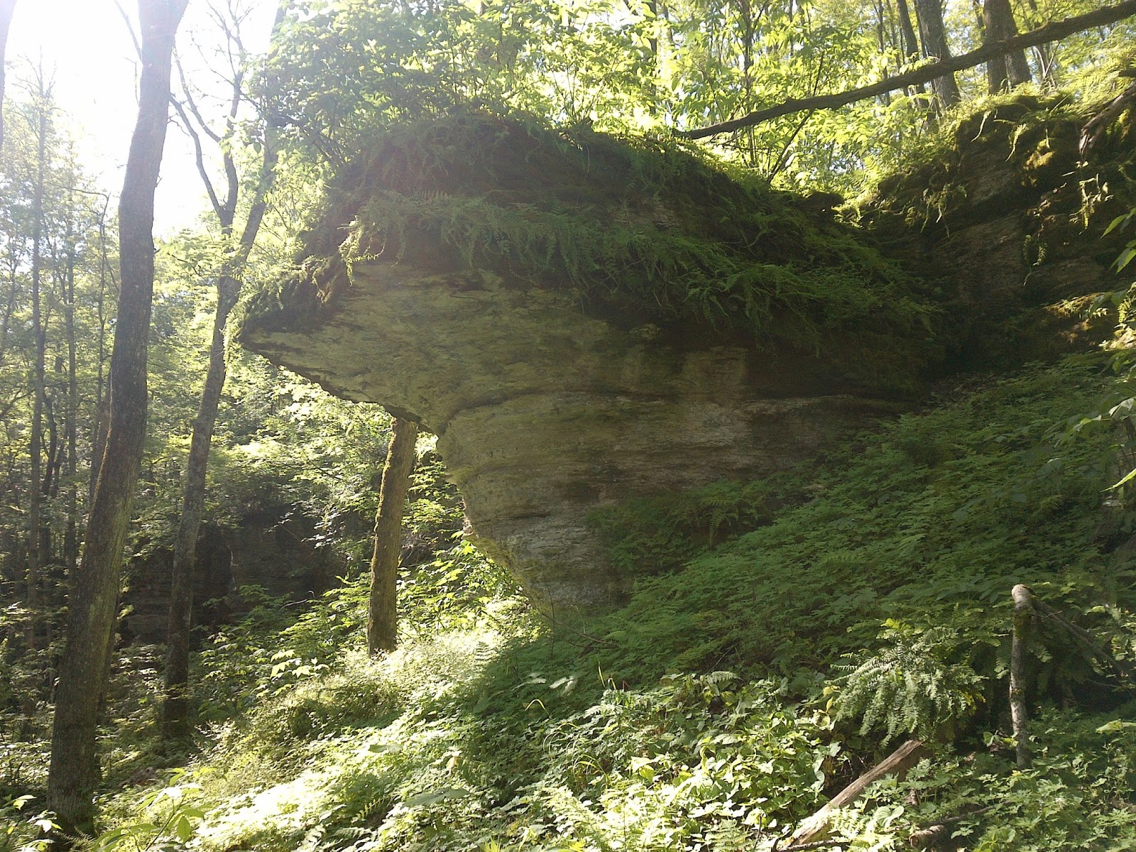 Heart and Sole: There be cliffs! Michigan's Niagara Escarpment
