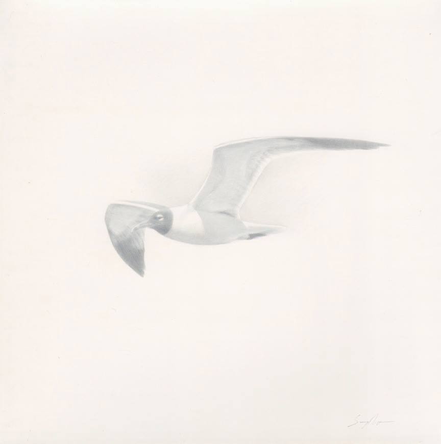 Beaufort, North Carolina Artists: Jack Saylor