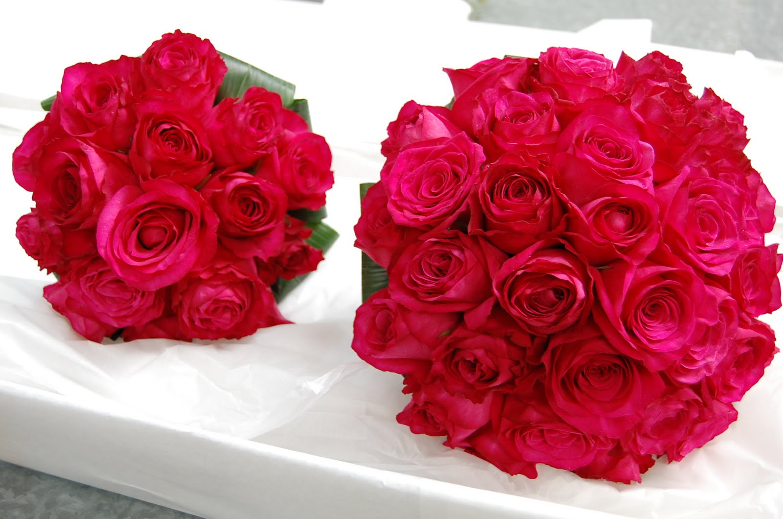 Mood Flowers: Purple Power Roses