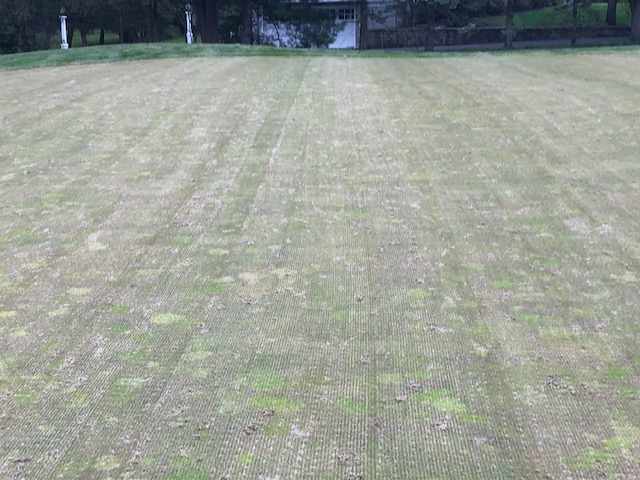 Madison Golf Club Maintenance Blog: Verticutting greens and approaches