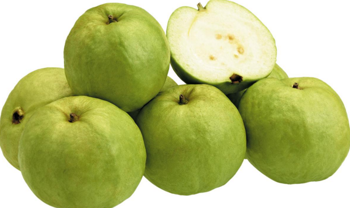 Vibhinn Rogon Mein Amrud ka Yogdan | विभिन्न रोगों में अमरुद का योगदान ...