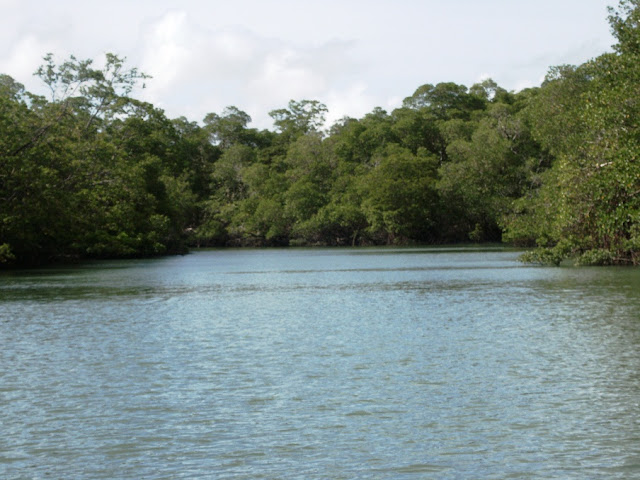 PATRIMÔNIO TRADICIONAL: CURURUPU: uma breve história