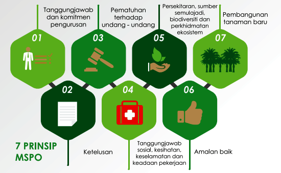 PENGENALAN MENGENAI MSPO - PPOM