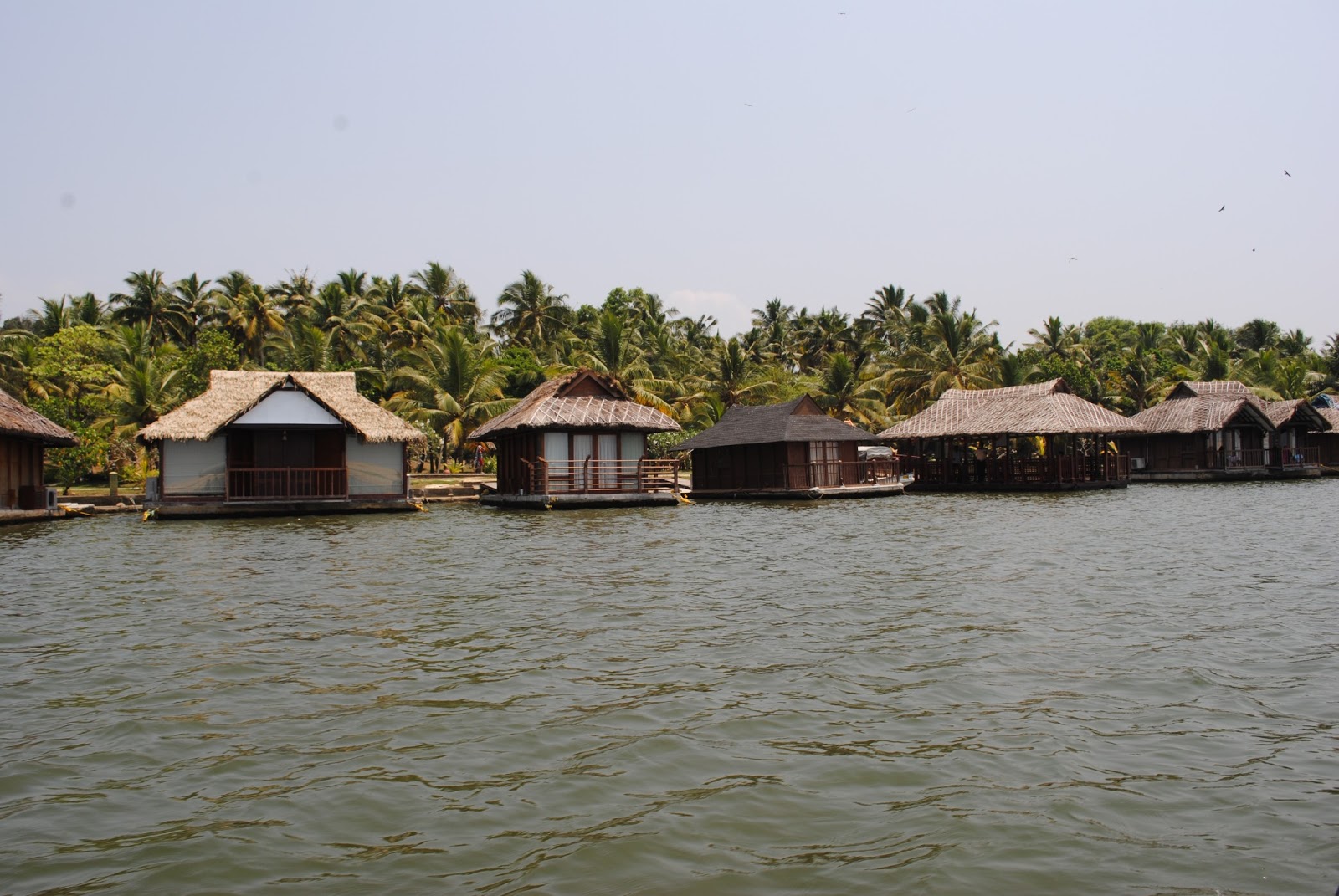 Time,Time..I have all the time --: Poovar Island Resort: Kerala