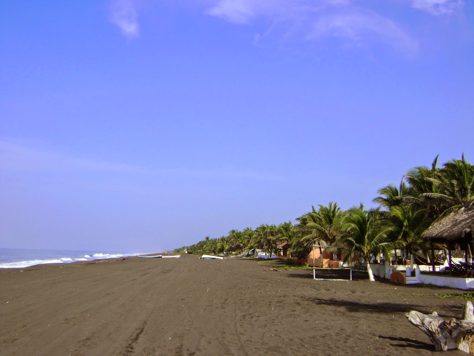 Un catalán en Guatemala: Monterrico