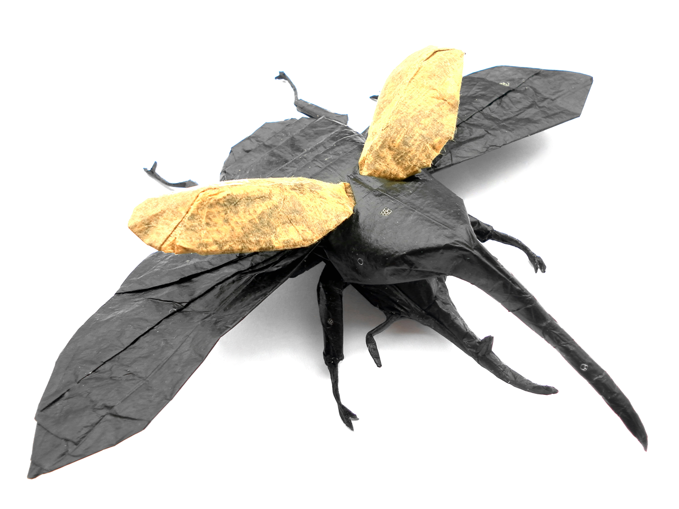 Mariano-Mi mundo el Origami: Flying Hercules Beetle