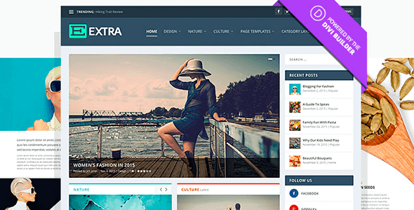 Extra v2.0.26 – Responsive Ultimate Magazine WordPress Theme - THEMES FREE