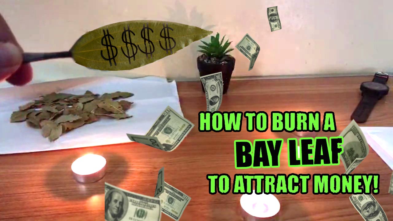 How to manifest Money with Bay leaf - Law Of Attraction