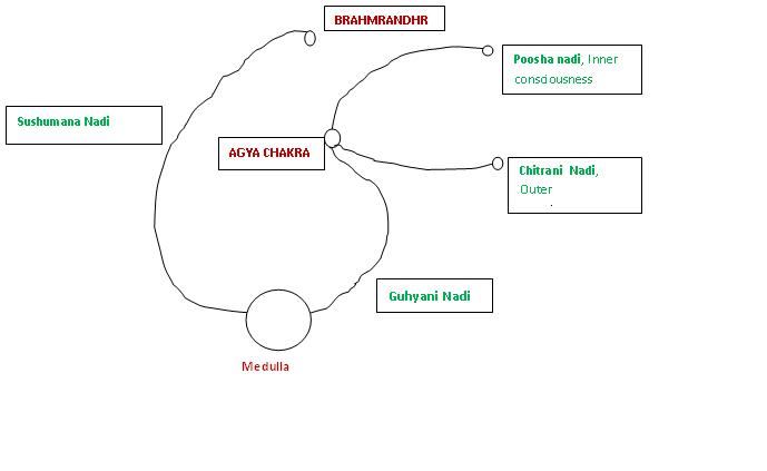 Shaktanand: Nadi Vigyan
