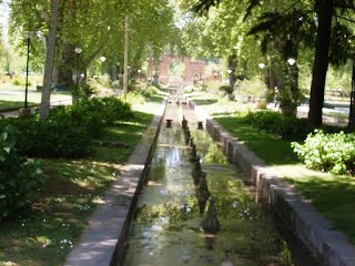 CHINAR SHADE : DARA SHIKOH GARDEN OF BIJBEHARA , KASHMIR..