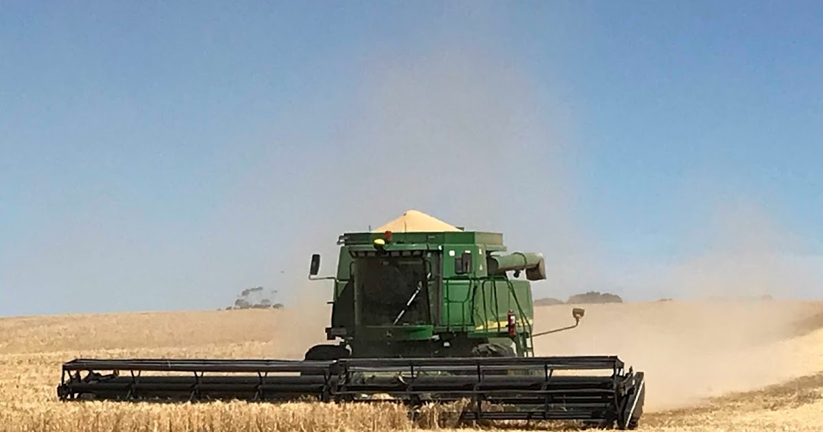 What a farmer does at harvest time. | Diva Farm Days