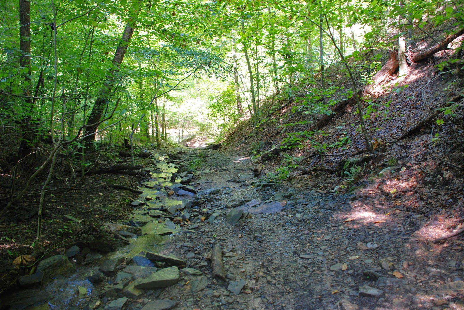 Fifty Hikes at 50: #39 - Bull Run / Occoquan Trail - West