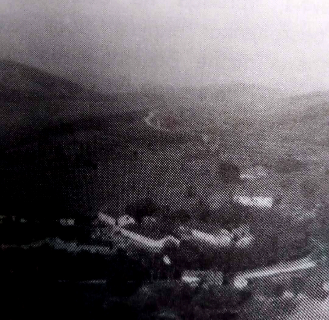 Despotovac: јун 2020