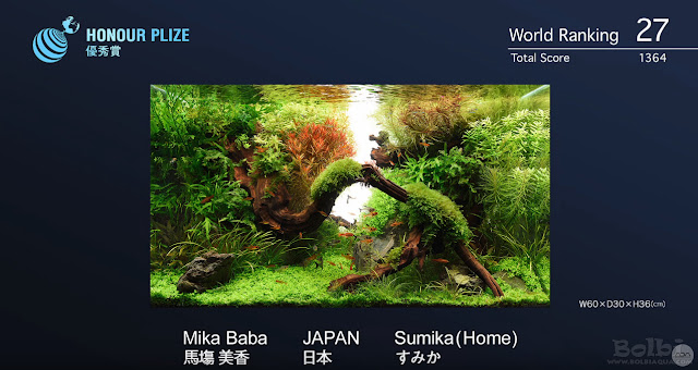 IAPLC 2017 - Top 127 [Photos] ~ Bolbi Aquarium