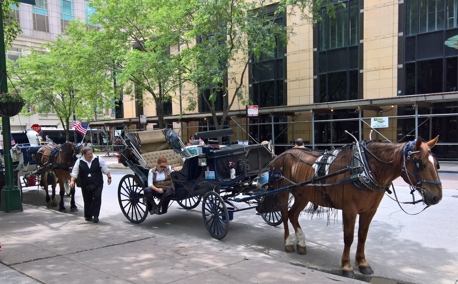 CHICAGO ARGUS: No more carriage rides by Christmas?