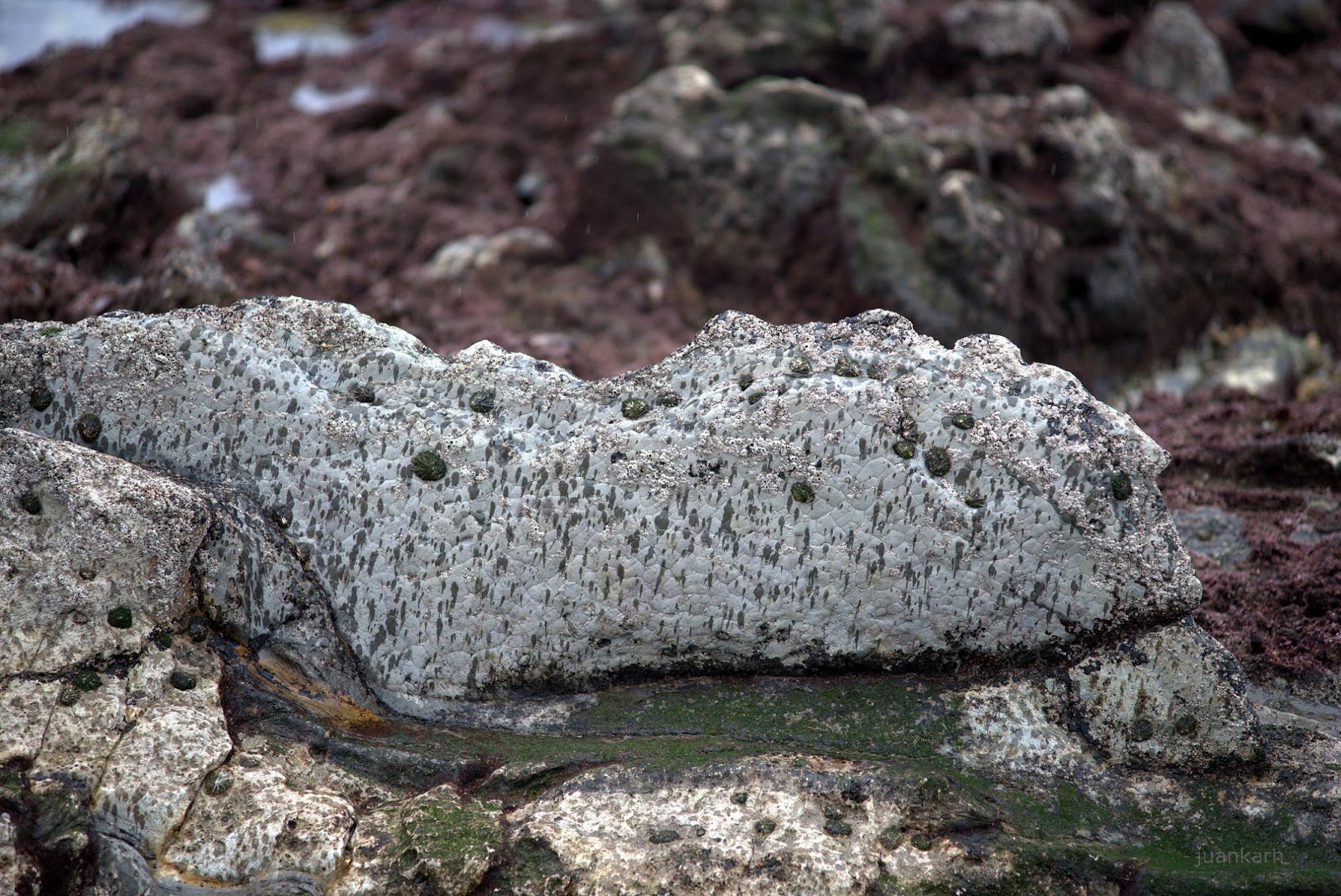Fototeka, bizileku: Uretan idatzia - Written On Water