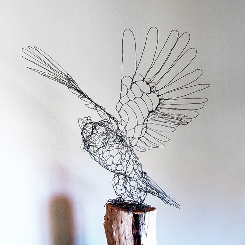 Wire Art Bird at Sofia Gellatly blog