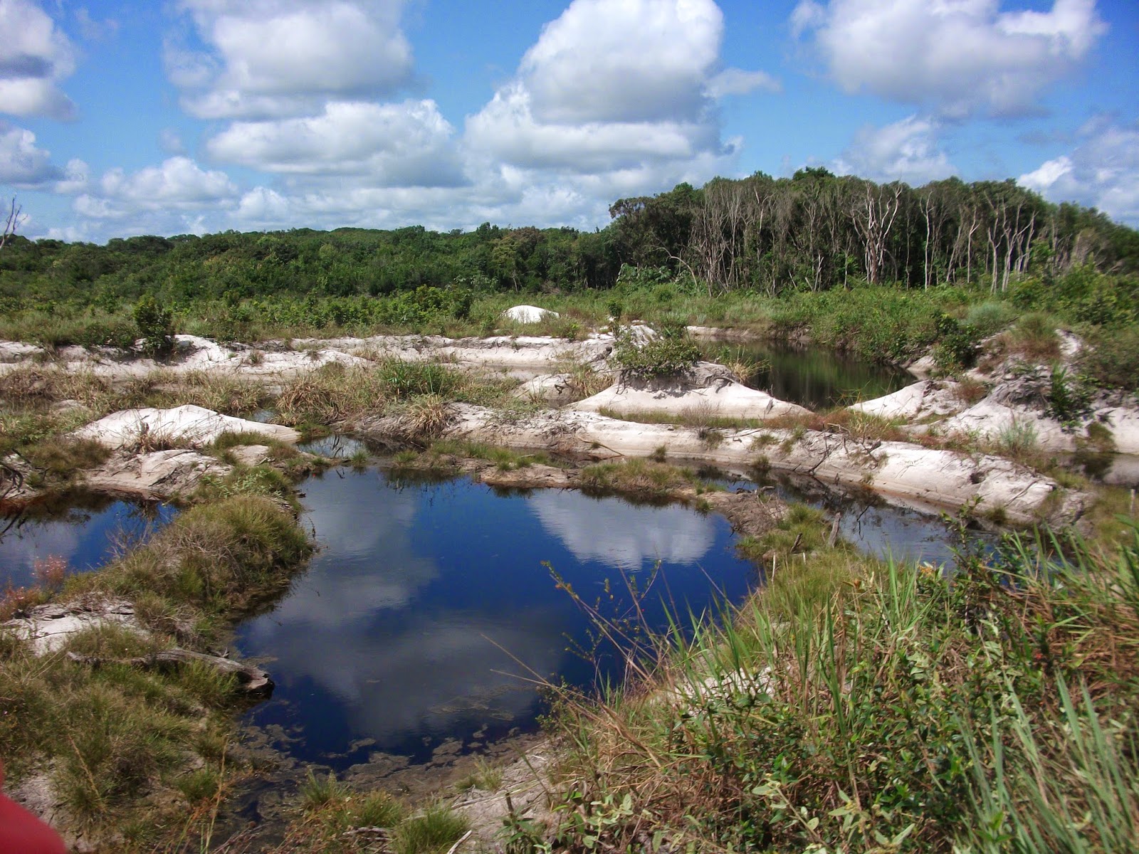 Sara en Clem in Suriname: Overleven in de Surinaamse savanne