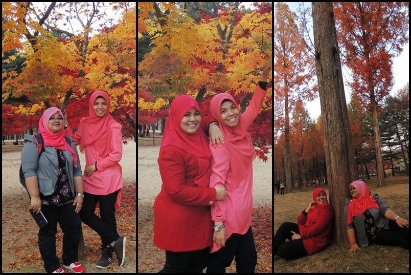 ~KaMpUnG CeKaDaK~: .:Trip to Korea Day 5: Pengalaman naik Zipwire ke ...