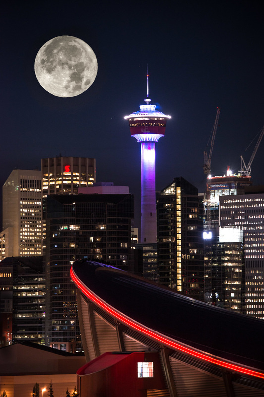 Hamer Grade 2 : Friday, June 19