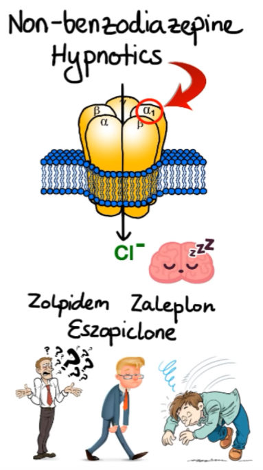 【Pharmacology】Anxiolytic and hypnotic drugs