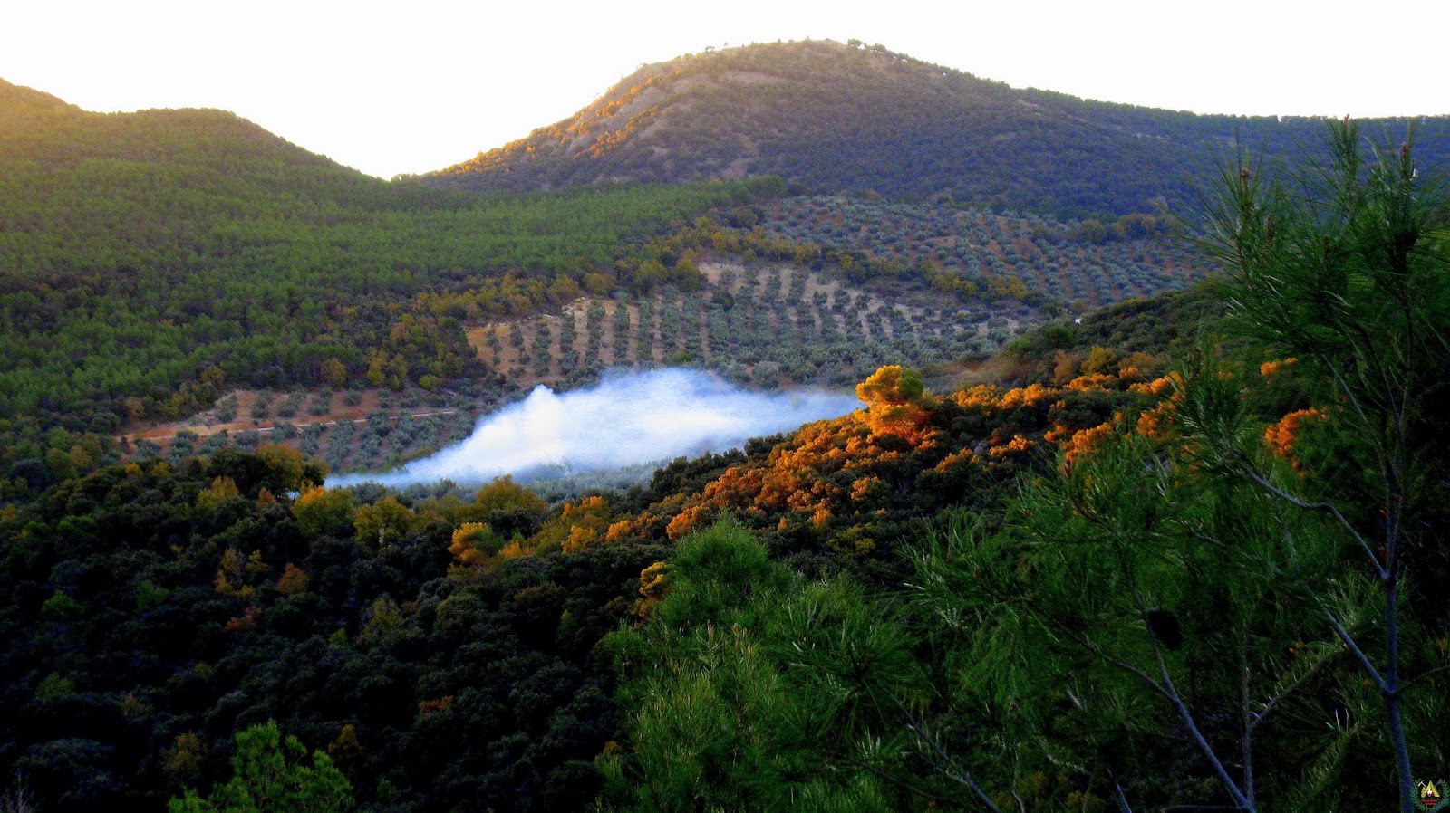 Caminando por La Sierra de Jaén: Encinares y quejigares de Mágina 8/12/2013