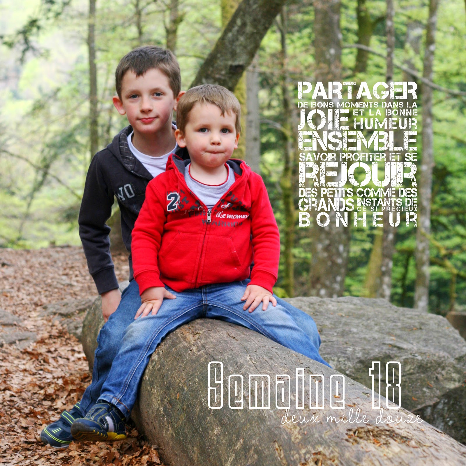 melusine {scrap&shoot}