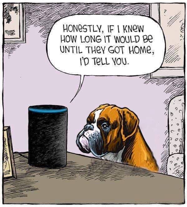 Mystery Fanfare: Cartoon of the Day: Alexa