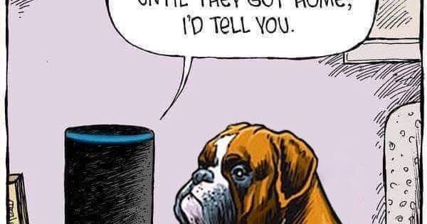 Mystery Fanfare: Cartoon of the Day: Alexa