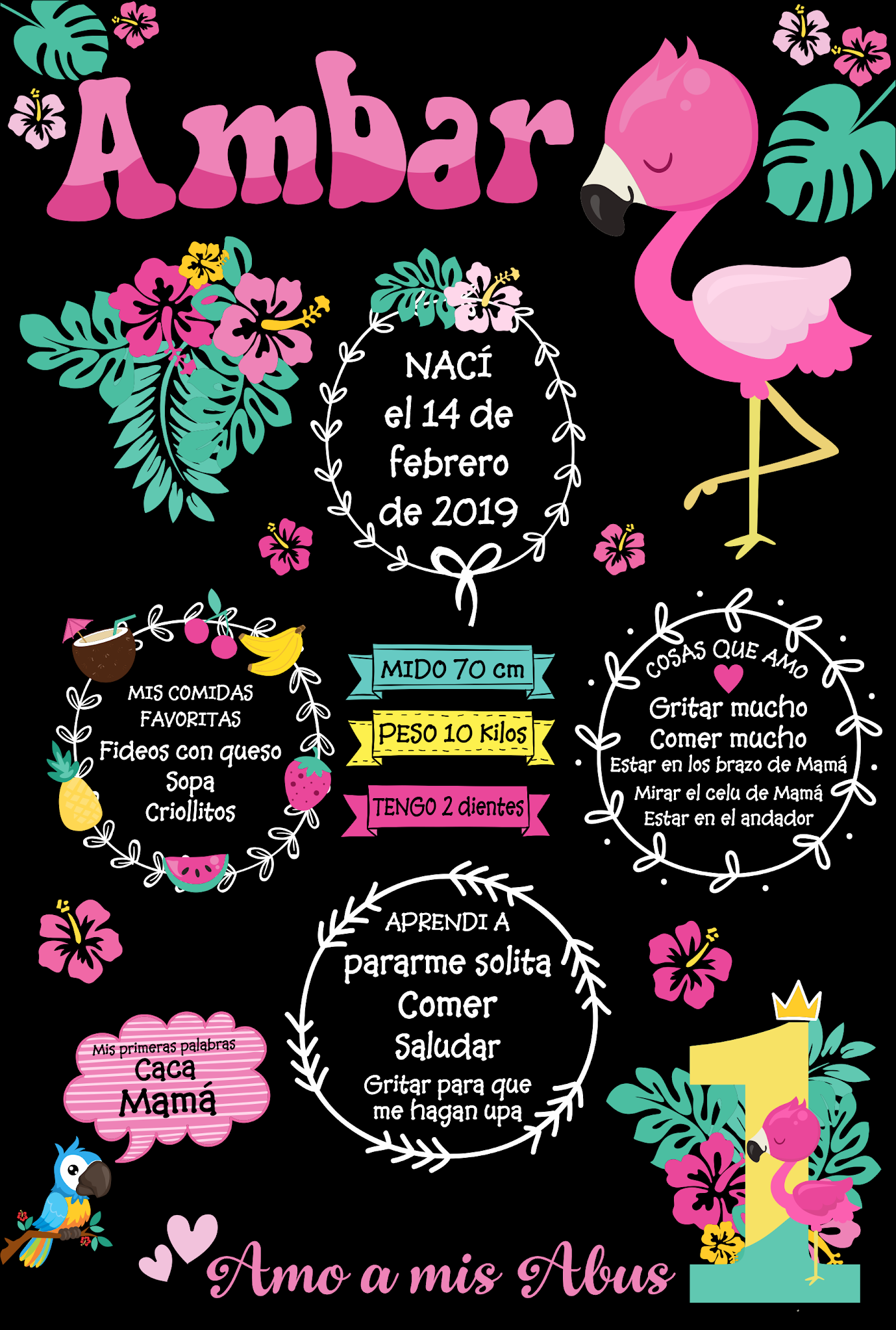 4UNICO TEMATICAS: FLAMENCOS