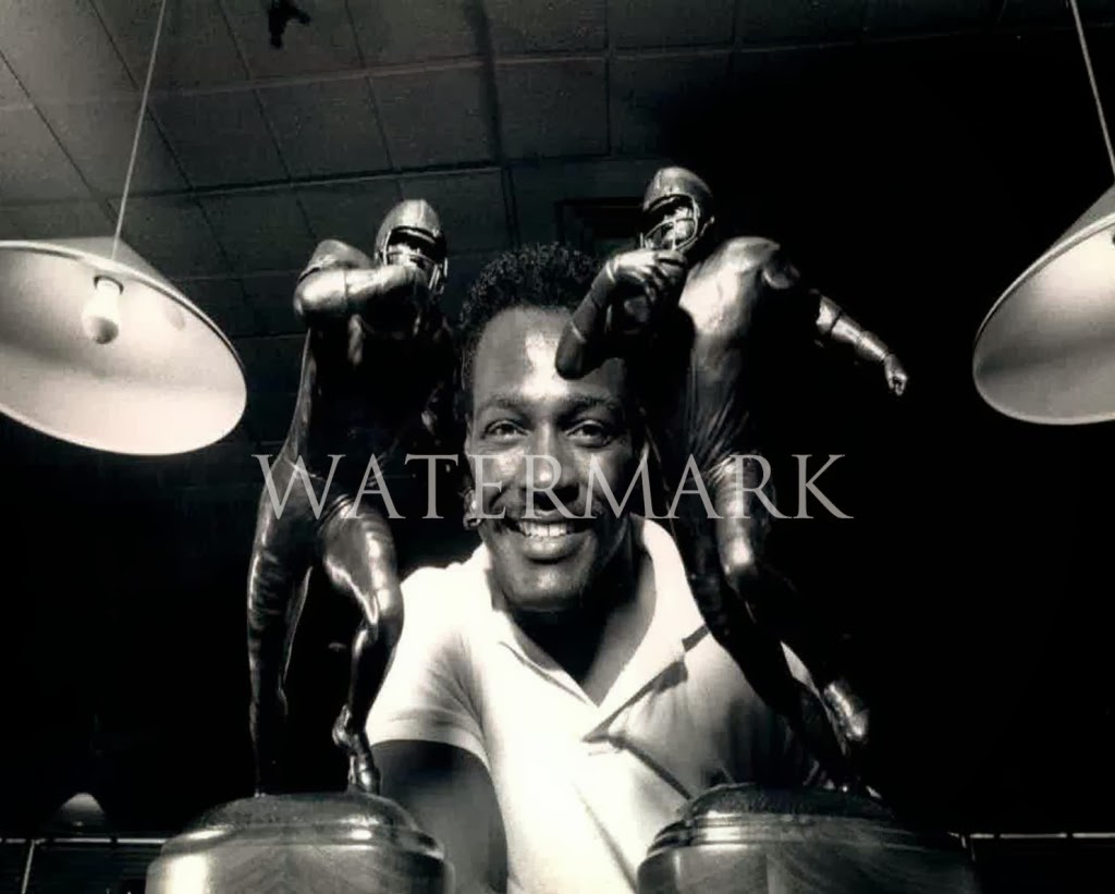 BearFanatic34: Photos