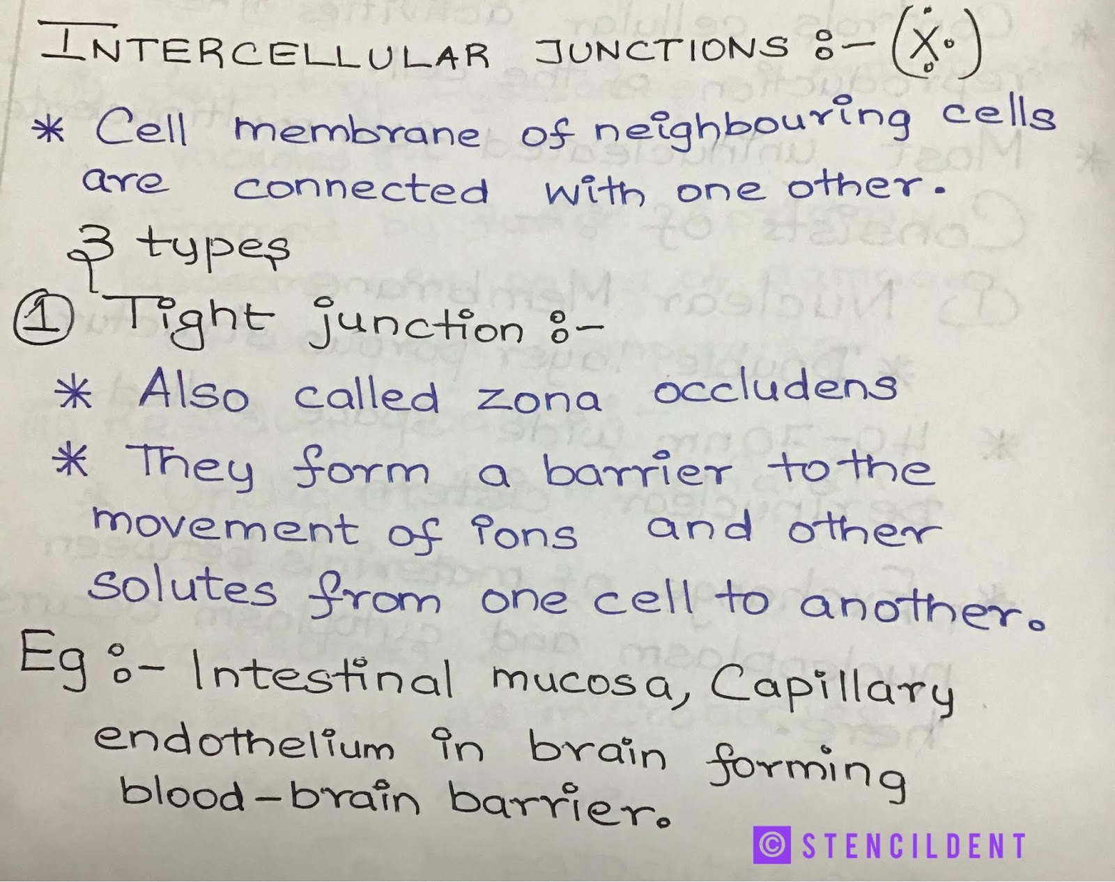 INTERCELLULAR JUNCTIONS - PHYSIO NOTES LEARN IT EASY WITH STENCILDENT