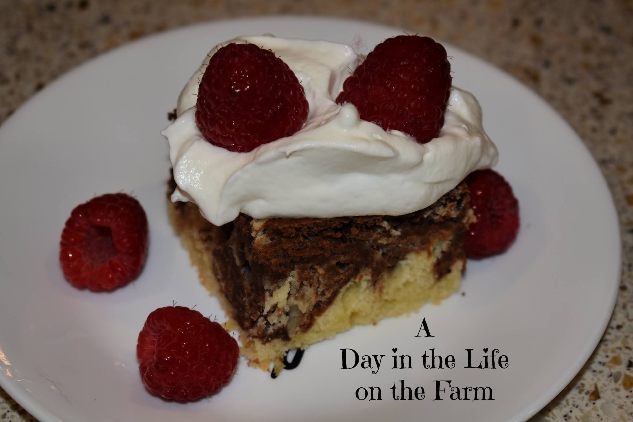 A Day in the Life on the Farm: Marble Cake #CakeSliceBakers